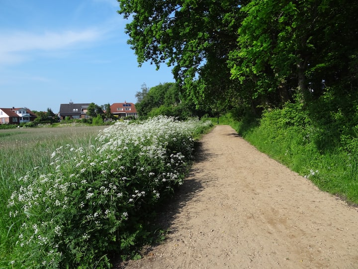 Ferienwohnung "Uferschwalbe" An Der Schlei. - Arnis
