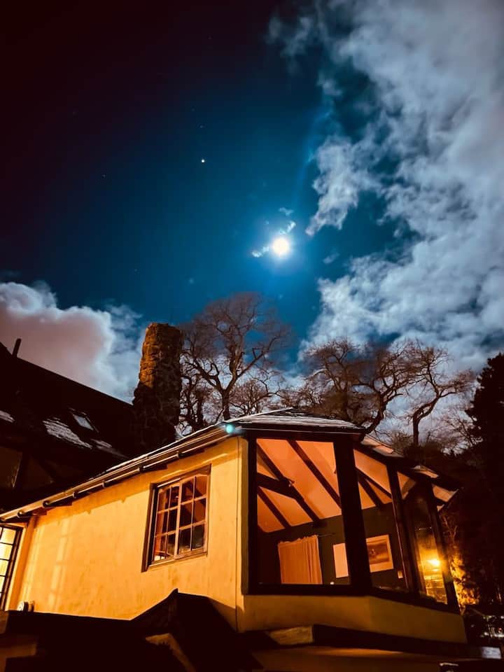 Gran Casa En El Bosque De San Martín De Los Andes - San Martín de los Andes