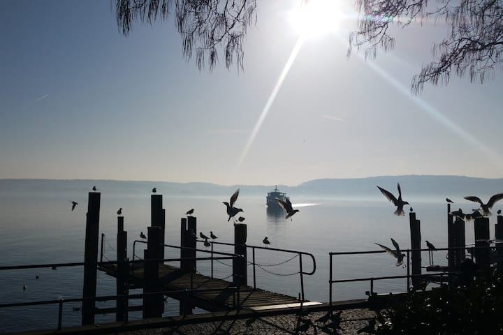 ❤❤❤ Living In The City ✪✪✪✪✪ - Owingen