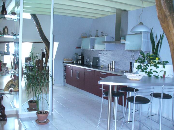 Duplex Avec Terrasse Au Cv - Dole