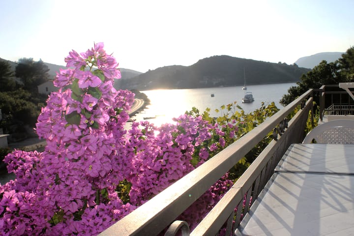 Spacious Apartment For Four - Korčula