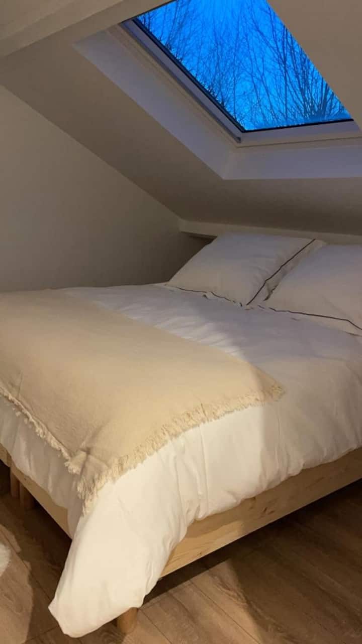 Duplex De 3 Chambres Proche Orly/paris - Ibis Orly Chevilly Tram 7