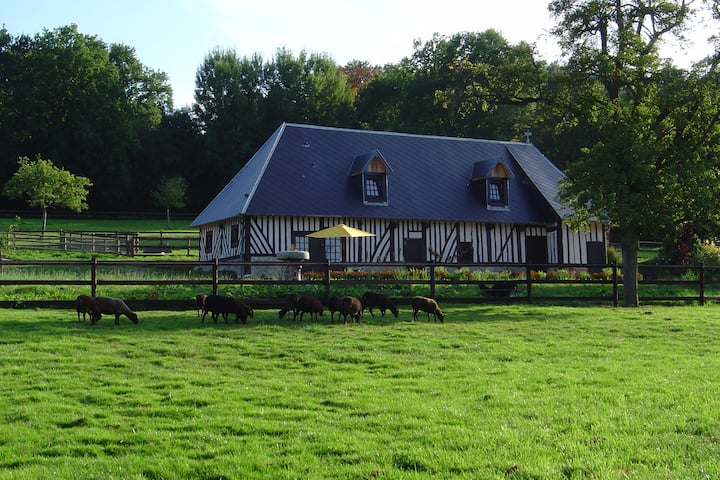 Petit Gîte à La Ferme, Piscine, Jacuzzi - Pont-l'Évêque