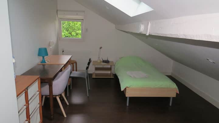Chambre Sous Les Toits Avec Sdb - Grenoble