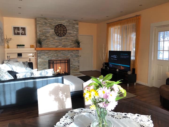 Spacious Apt In Pittsburgh (Pitt - Cmu -  Upmc) - Pittsburgh, PA