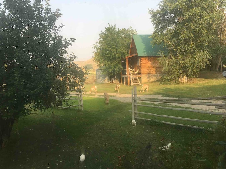A Simple, Quiet And Relaxing Getaway. - Wyoming