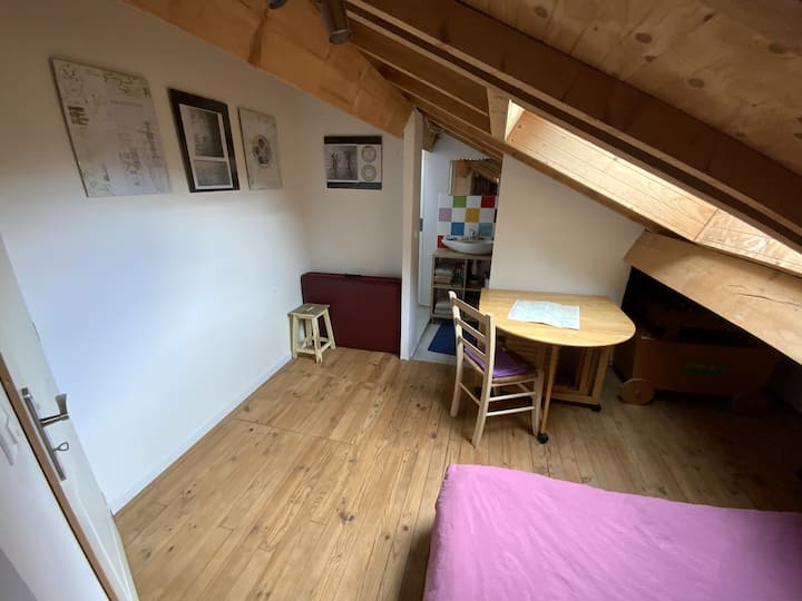 Chambre Clamart, Sdb Privée Avec Salle D'eau - Châtillon