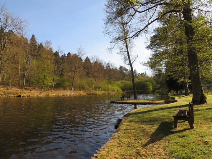 Ferienwohnung Schöntal Ii - Ludwigswinkel