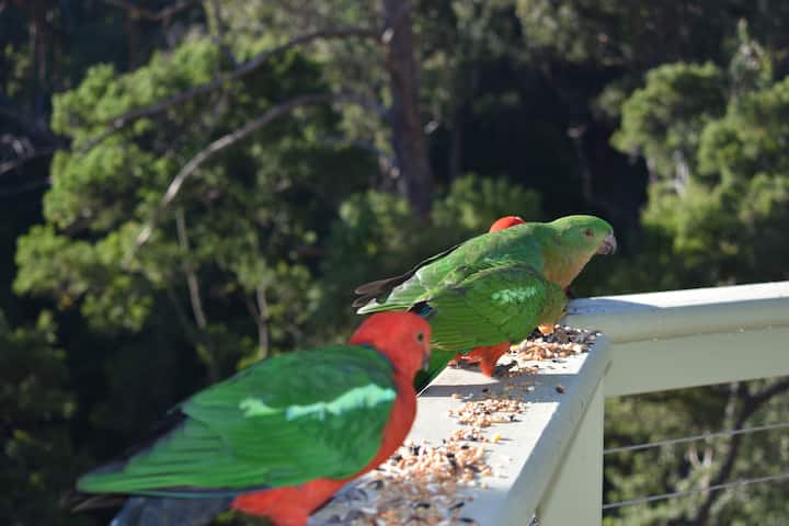 Sea Valley Cottages No 2 - Apollo Bay