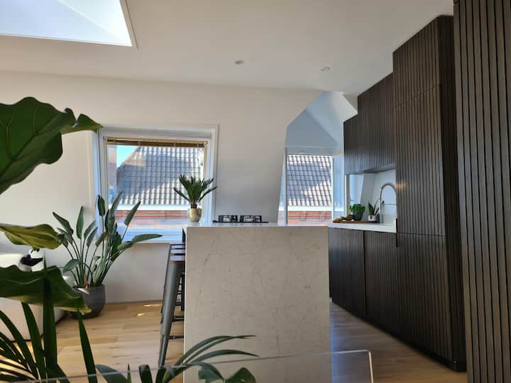 Lux Penthouse, Rooftop & Skylights (Center Ams) - Amsterdam