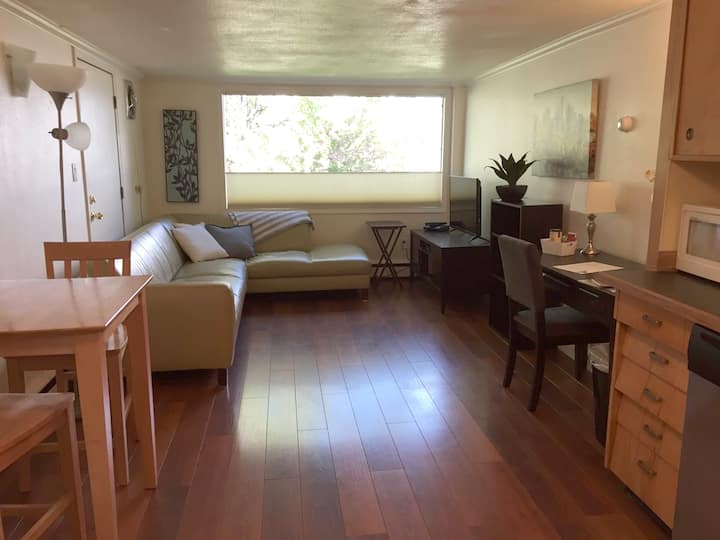 Cozy, Stylish, Downtown Apartment - Anchorage, AK