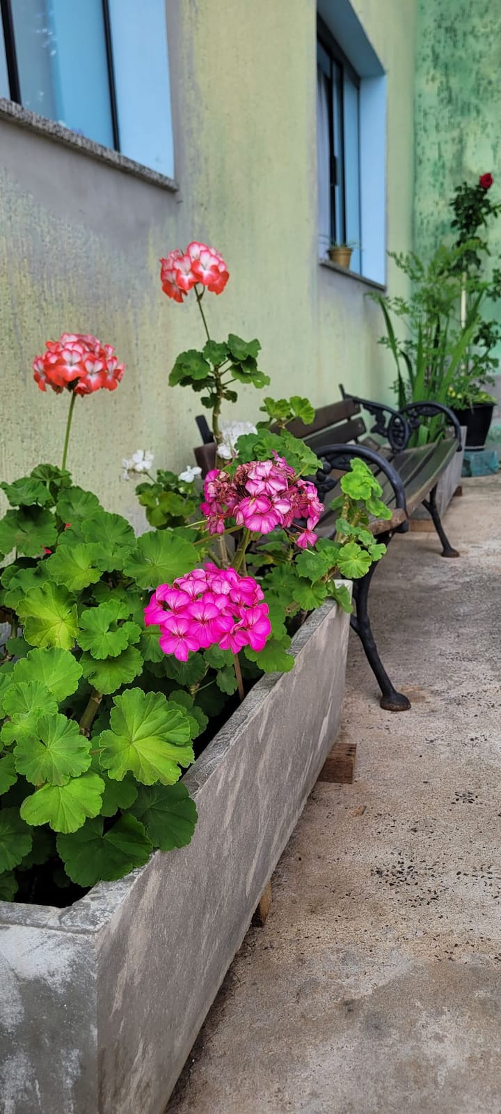 Hospedagem Noronhas. - Alfenas