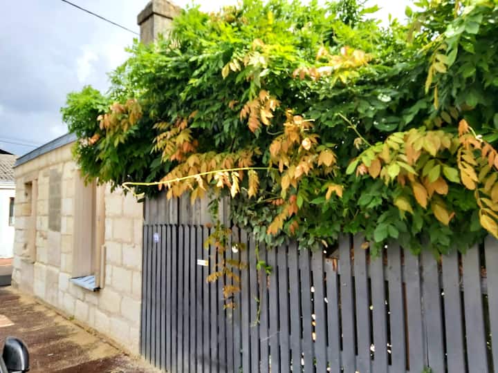 Maison 4 Chambres à 10 Min De Bordeaux - Le Bouscat
