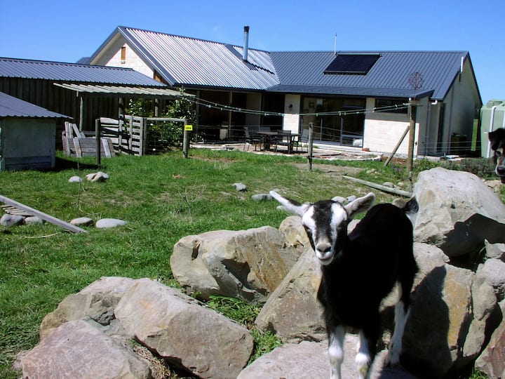 Aislingquoy Farmstay - Amberley