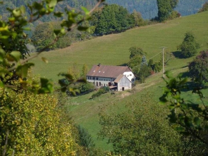 Gîte 7 Personnes Dans Ferme Rustique - Munster