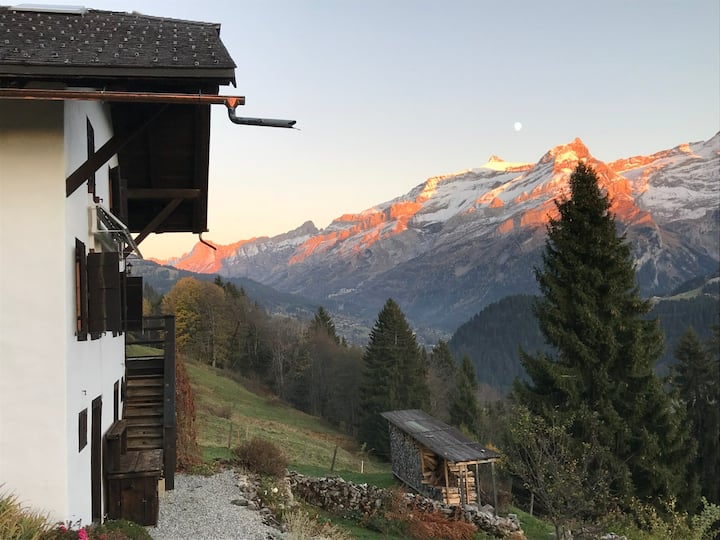 Chalet Mit Cinematographischer Aussicht - Kanton Waadt