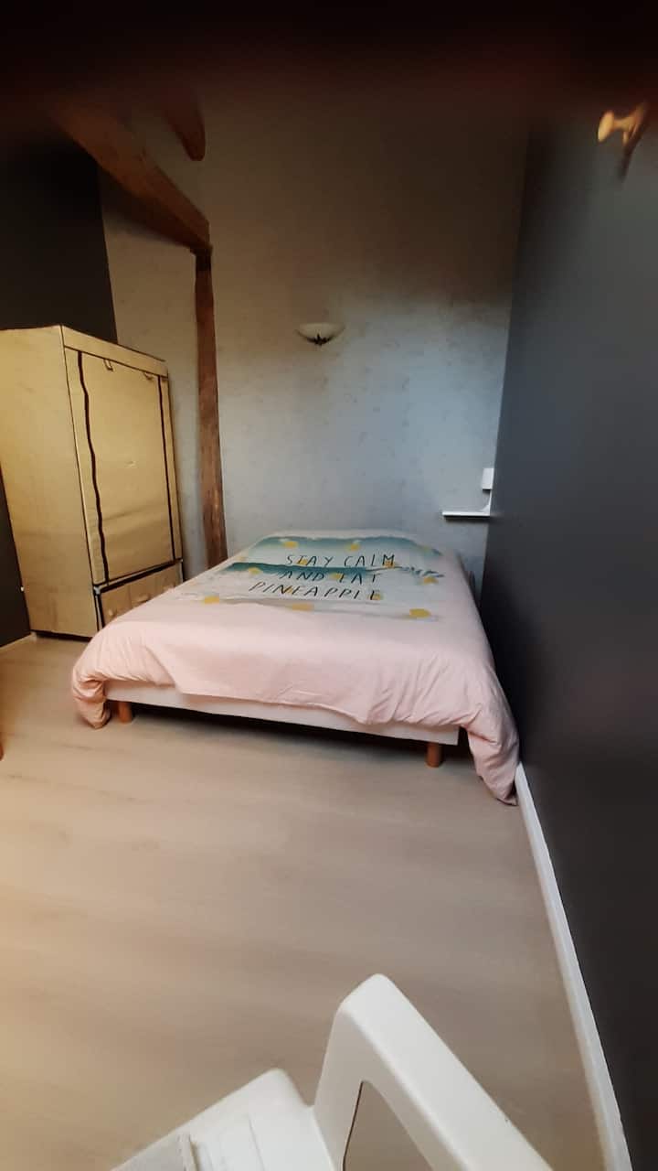 Maison Solognote 4 En Location Et Colocation - Sully-sur-Loire