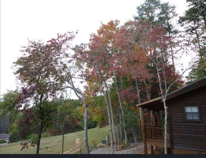 Little Cabins On An Old Farm - Murphy, NC