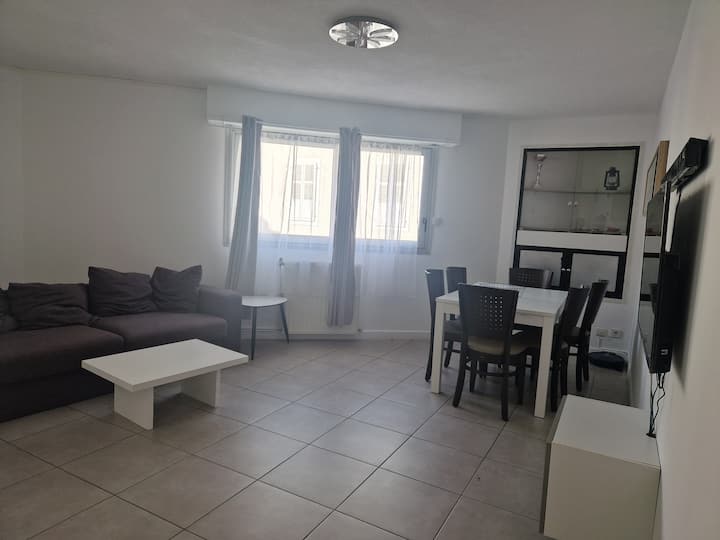 Appartement Cosy Et Spacieux - Pau