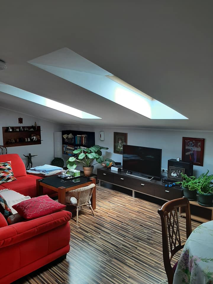 Comfortable Appartment In Katowice With Garden - 카토비세