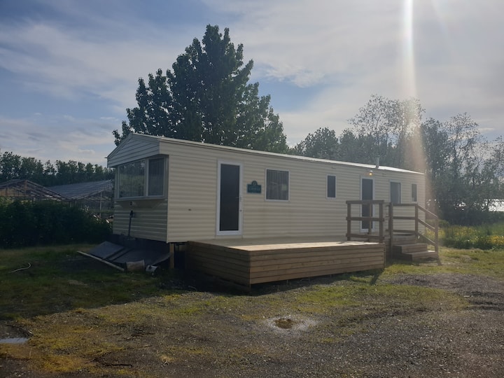 Tiny Home. Near Golden Circle. Northern Lights. - Islande