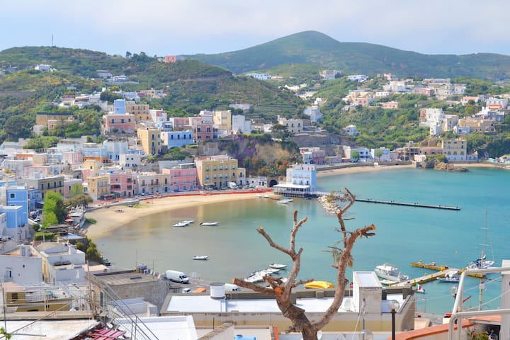 Maridea Ponza Scotti - Ponza