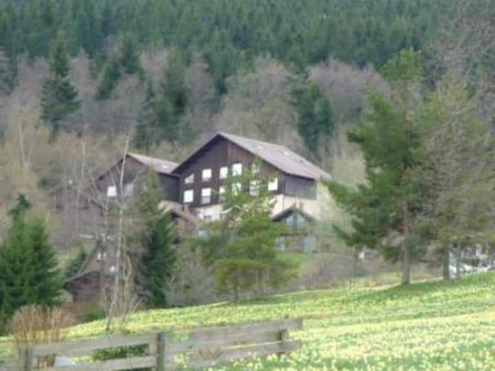 Studio Les Abeilles - Gérardmer