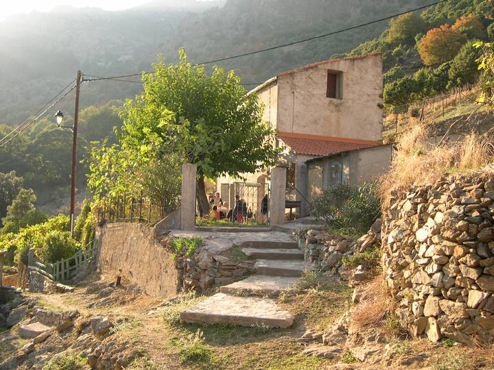 Maison Avec Jardin Arboré / A Asco - Asco