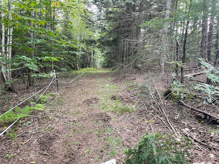 #3 Small Rv/ Camper Van - Montpelier, VT