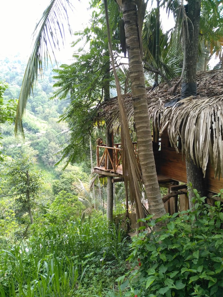 11 Best Treehouse Hotels In Sri Lanka - Updated 2025 | Trip101