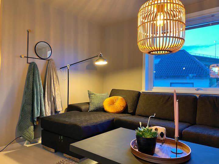 Unik Sentral Leilighet Med Balkong Og Stor Bakgård - Stavanger