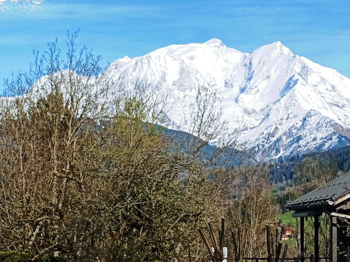 Beau F2 Face Au Mont Blanc. - Cordon