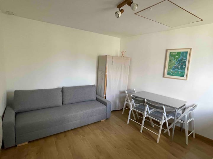 Maisonnette Esa La Madeleine A/c Parking Jardin - Angers