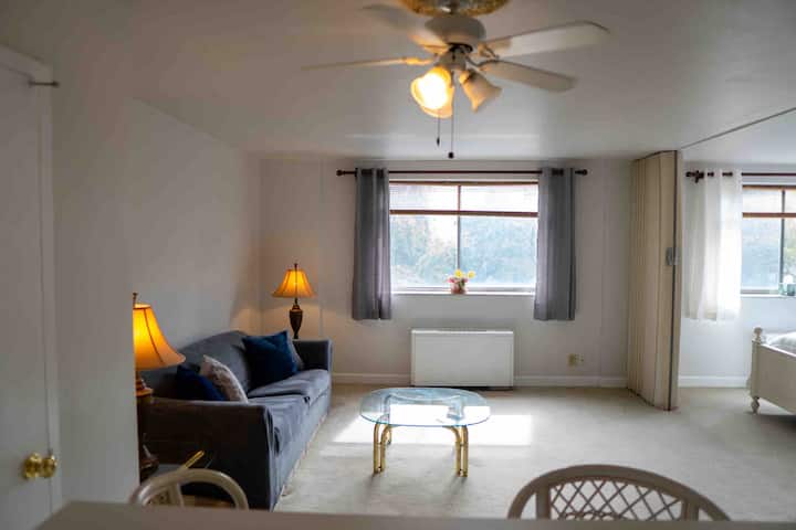 Condo In The Hotel District Of Midtown - Atlanta, GA