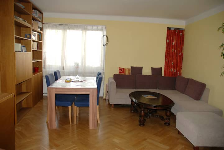 Walk To Prague Castle / Centre, 3rooms Apt, 61day+ - Praag