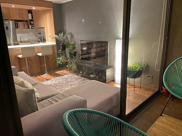 Minimalist Apartment 2 Br / 2 Bath - Santiago - Santiago (Chile)