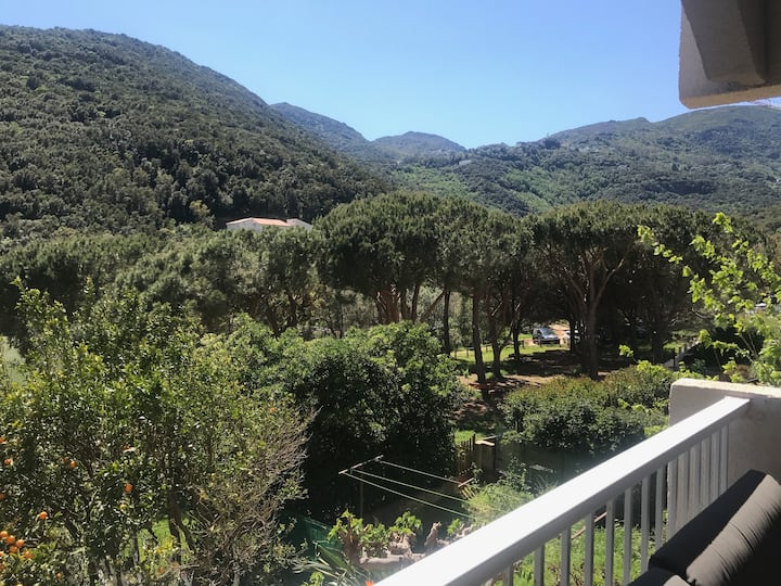 Appartement Lumineux 85 M2 à 2 Min De La Plage - Corsica