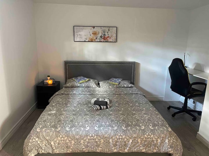 Bright Spacious 1br Apartment/quiet Neighbhd - Toronto