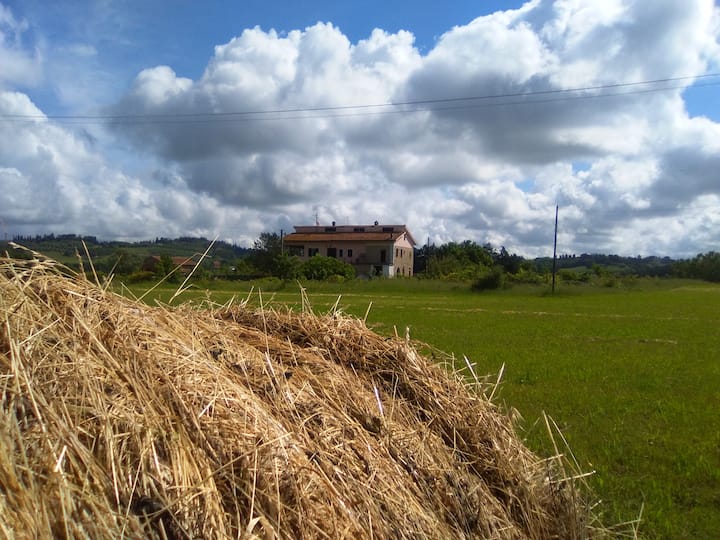 Lajatico.... Il Sogno Toscano...  Casa Aida - Italy