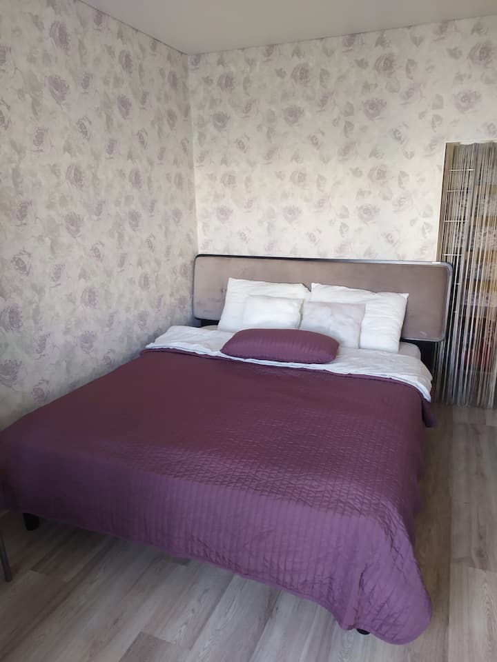 Uyutnaya 2komn Kvartira V Tsentre Apartments - Kaliningrad