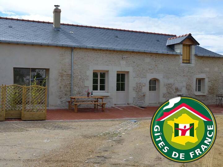 Le Logis D'adrienne - Montreuil-Bellay