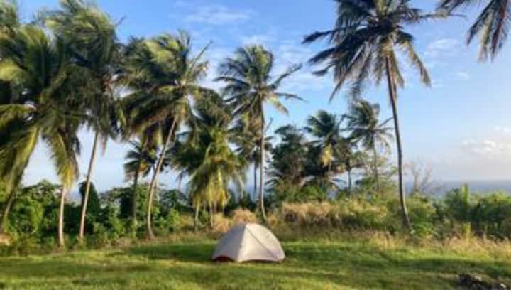 Camping Barbados - Groups - Private Camp - - Barbados