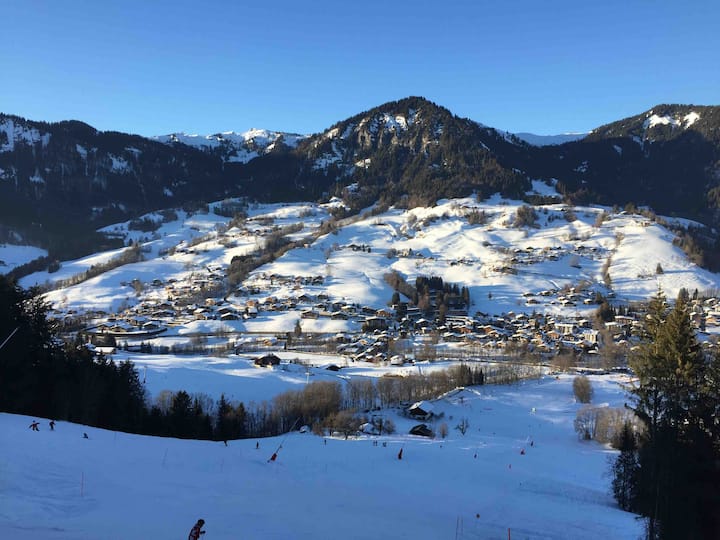 Bel Appartement Au Pied Des Pistes, Proche Megève - Praz-sur-Arly