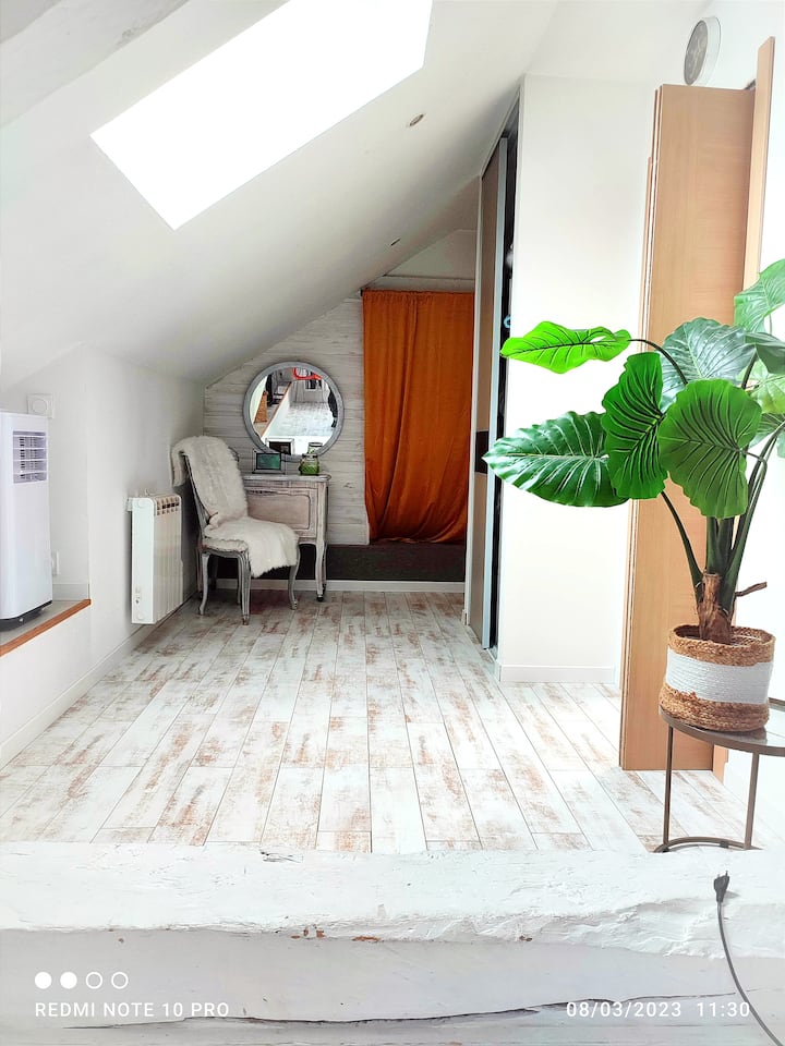 Loft Atypique 4 à 6 Pers Parking Plublic Gratuit - Aix-les-Bains