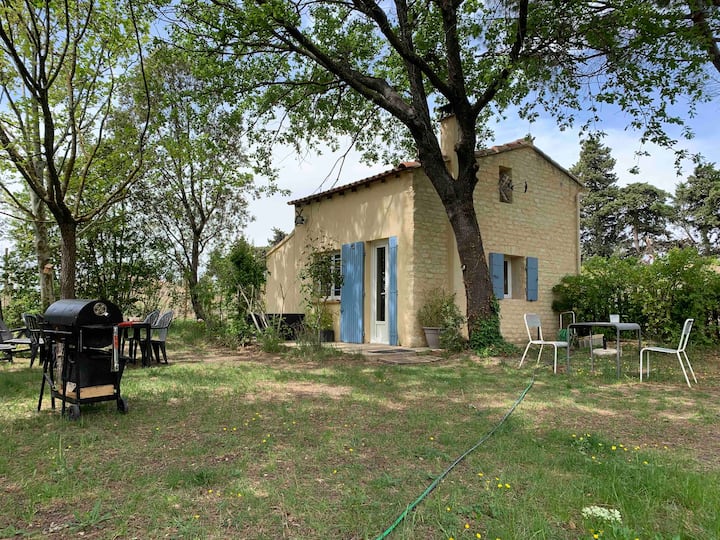 Mazet Provençal - 5 Min Isle Sur La Sorgue - Cavaillon
