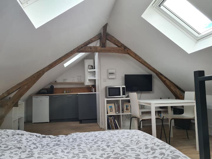 Studio De Charme Proche Du Centre-ville - Reims
