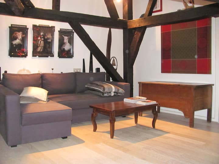 Appartement Hypercentre Vieux Tours - Tours