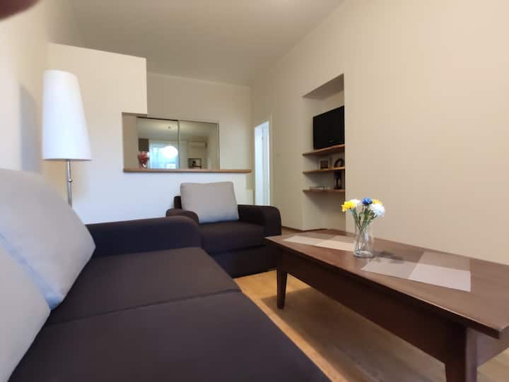 Cozy Apartment In The Very Center - Lviv