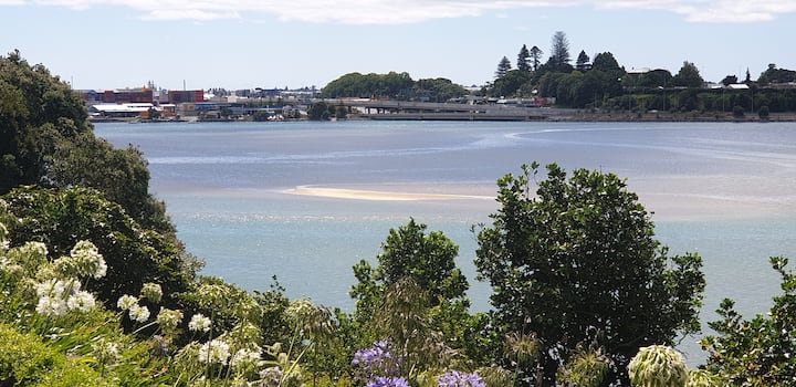 Detached Private Studio - Tauranga