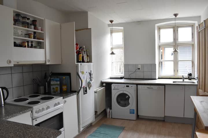 Lejlighed Midt I Hjertet Af Odense. - Odense